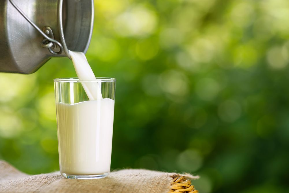 Introducing TC Farm Milk - TC.Farm - Fine Food Sustainably Raised